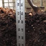 Amending Your Soil to Maximize Tomato Harvest - White Flower Farm's blog