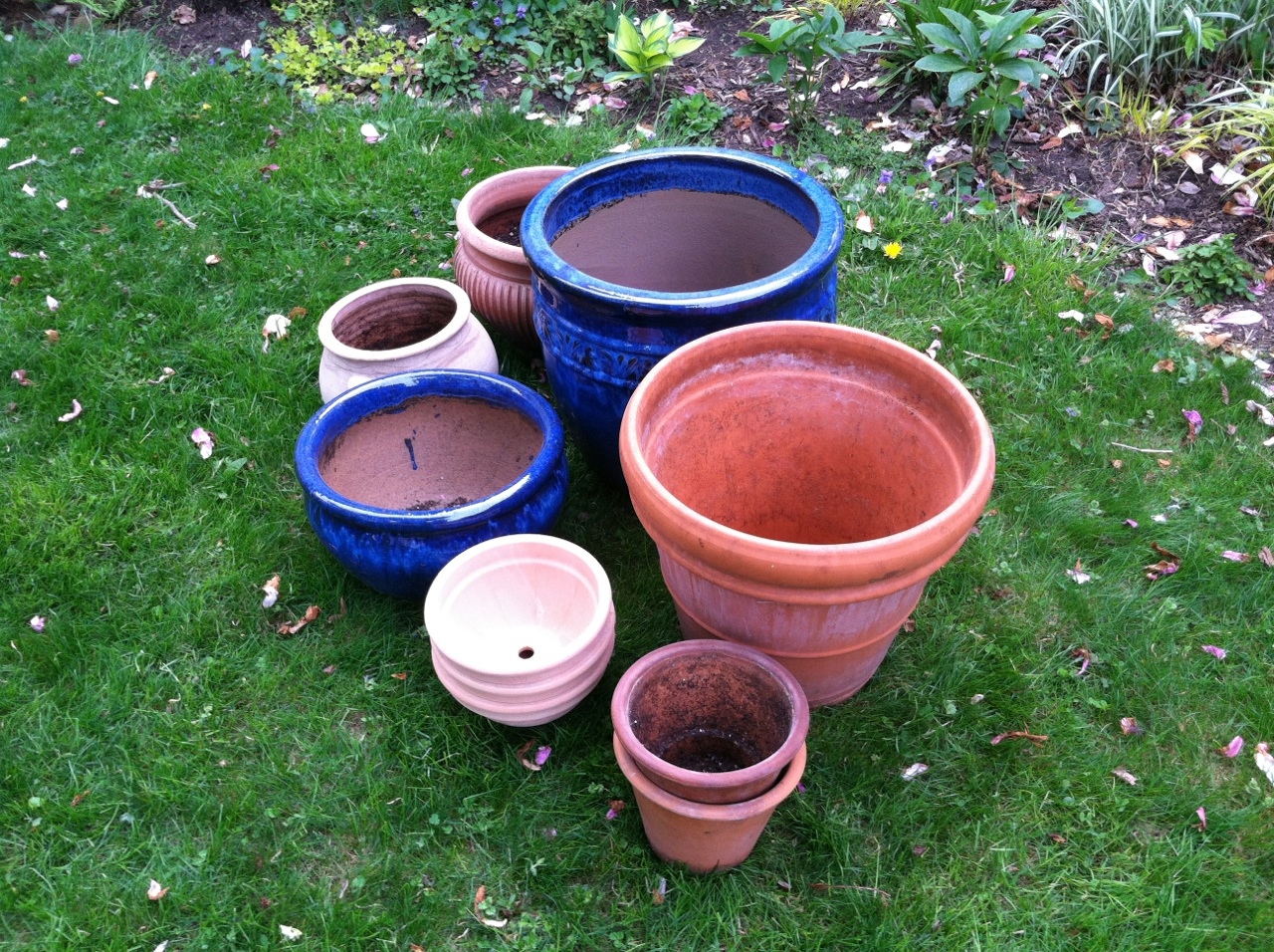 Create Beautiful, Successful Patio Pots - White Flower Farm's blog