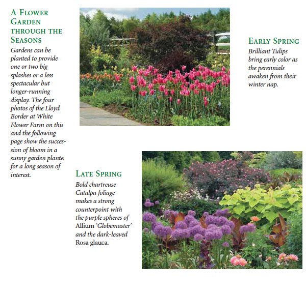 Flowering Times - White Flower Farm's blog