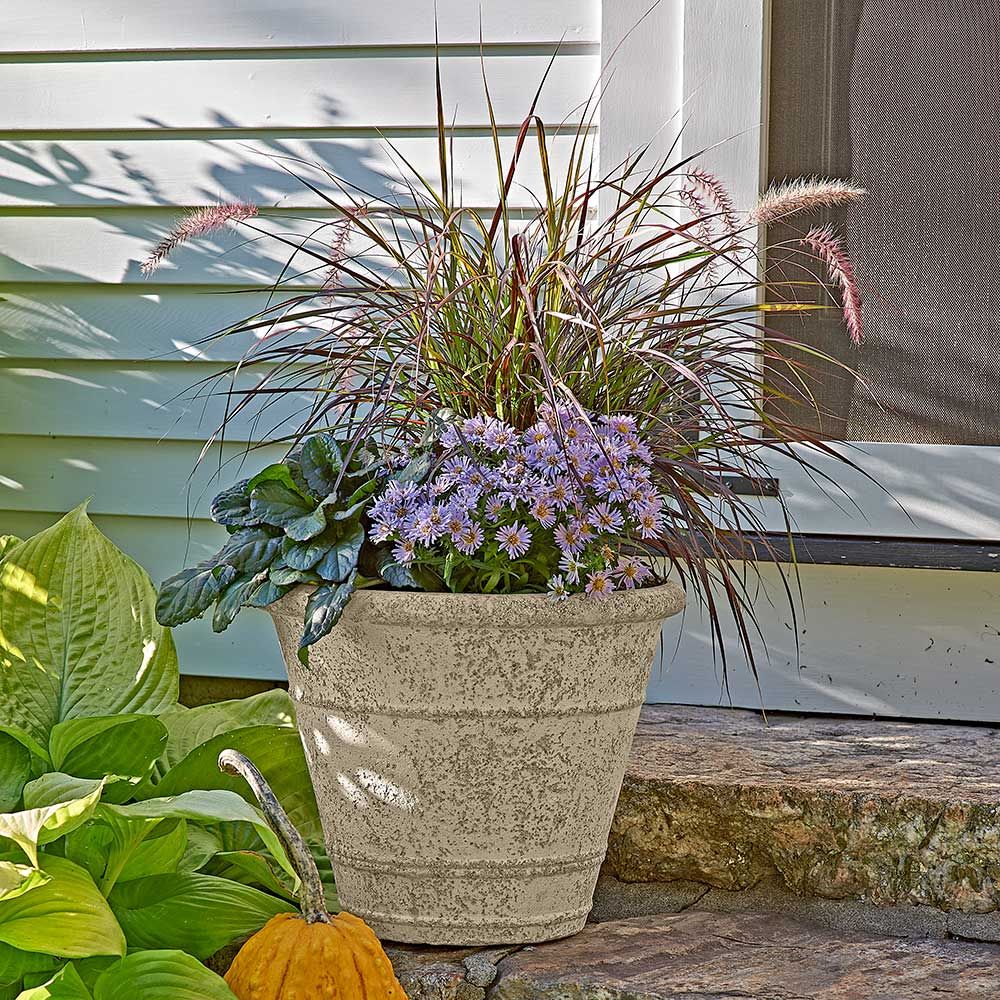 Fall Fireworks Collection - White Flower Farm's blog