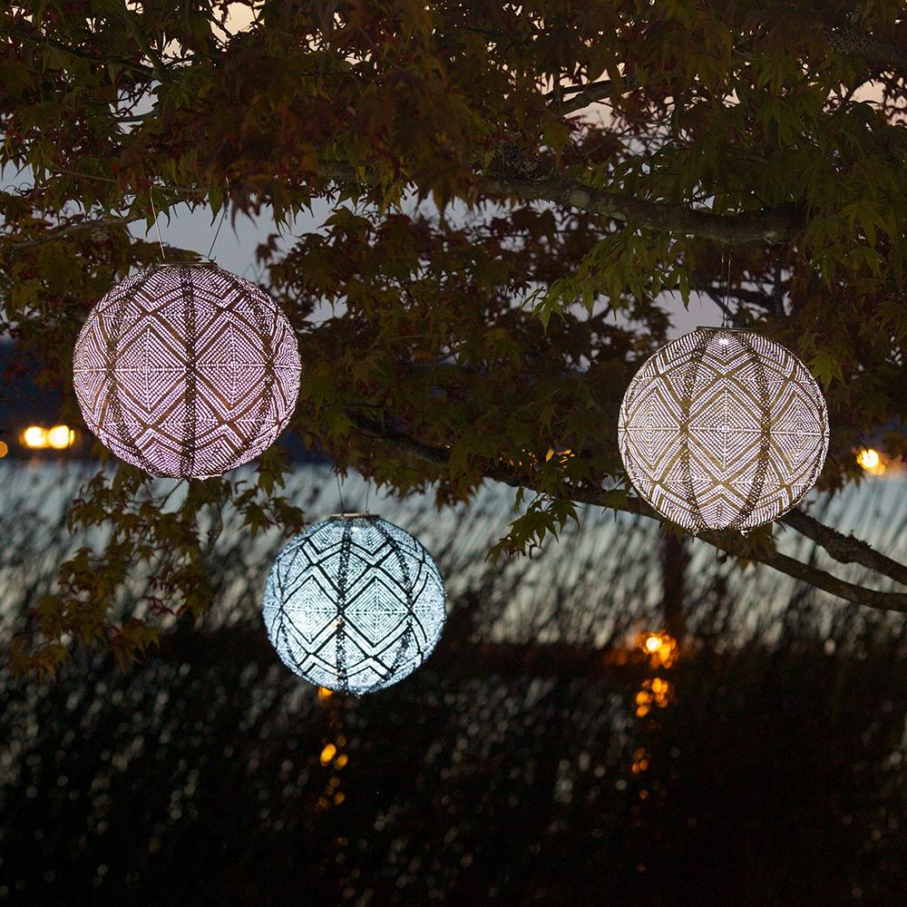 Night Life: Lighting & Plant Ideas for Evenings in Your Garden - White ...