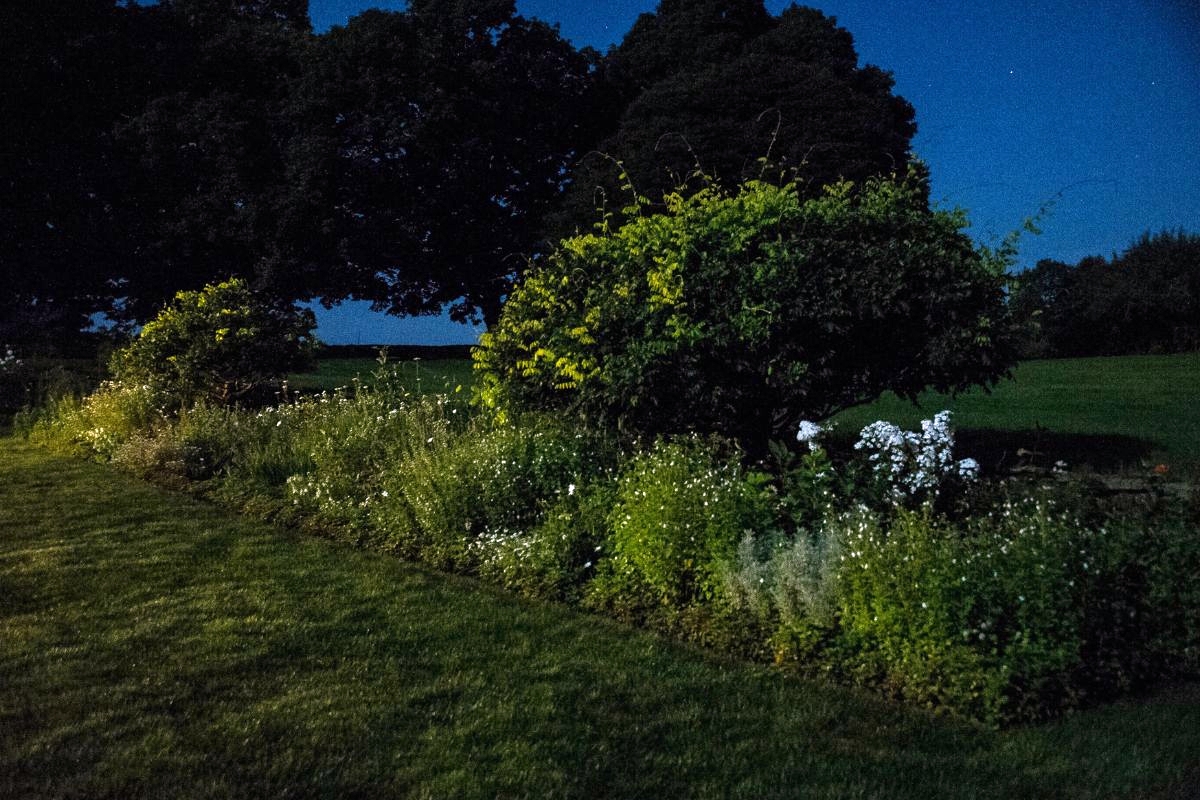 Bold Subtlety: The White Garden - White Flower Farm's blog