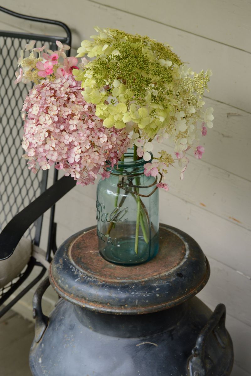 Drying Hydrangeas: An Experiment - White Flower Farm's blog