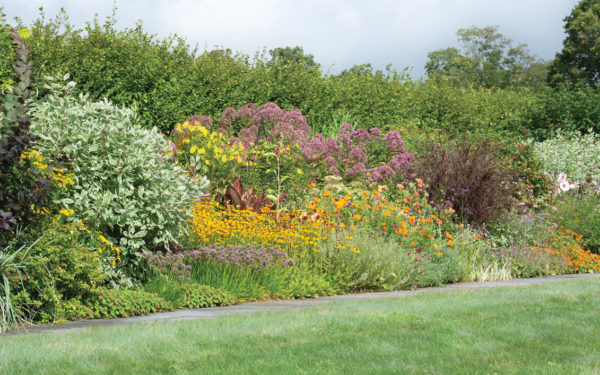 Lessons from the Lloyd Border - White Flower Farm's blog