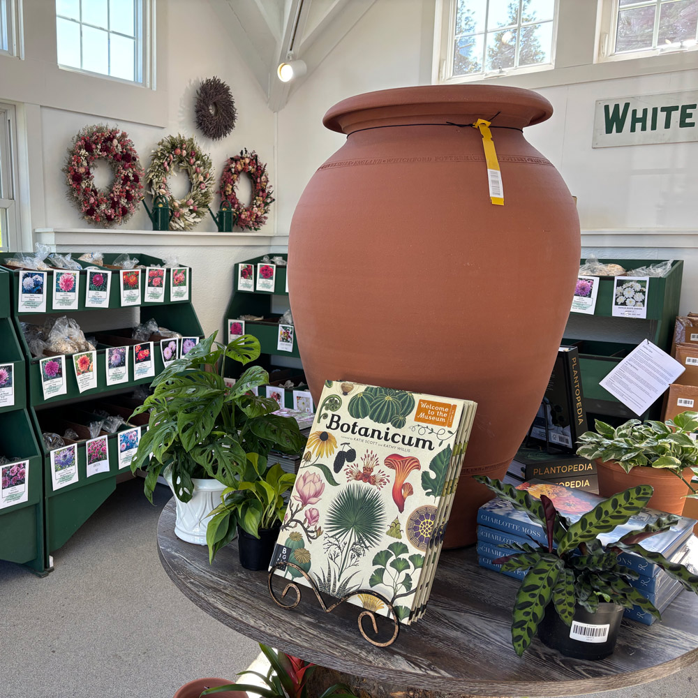 Visit the White Flower Farm Store for Vines That Add Vertical Interest ...